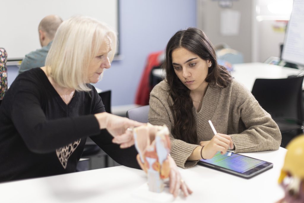 Courses | Health Sciences University